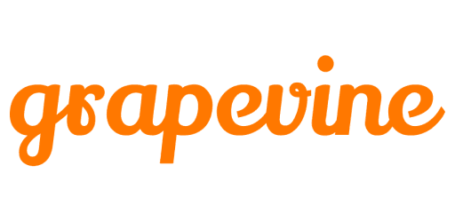 Introducing Grapevine: Empowering Professional Networking in India with ...
