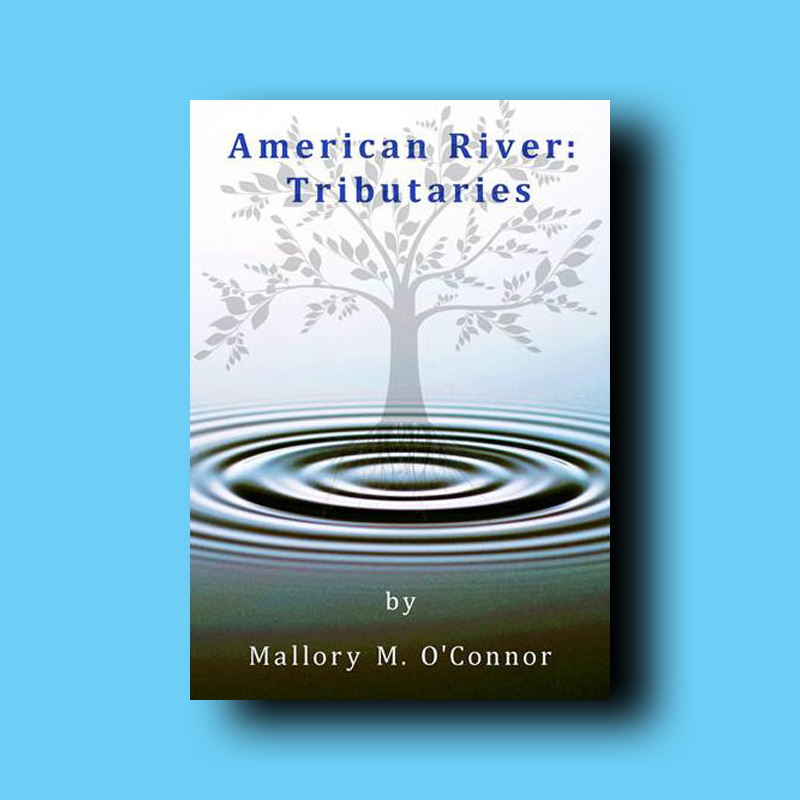 Mallory O’Connor of oconnorartLLC to be Featured on Close Up Radio ...