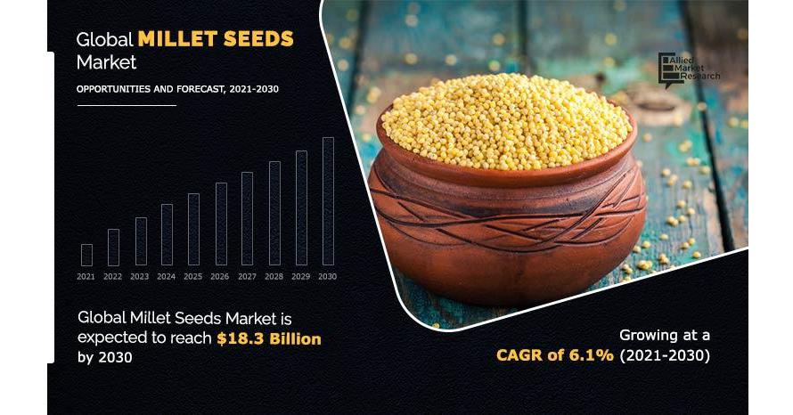 Millet Seeds Market Size, Share, Trends, Growth, and Revenue ...