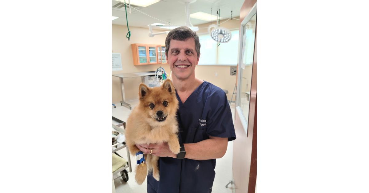 VetStem Cell Therapy Proponent, Dr. Jeff Christiansen, Surpasses 300 ...