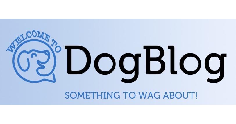 Introducing DogBlog, All-In-One Social App for Dogs (and Their Pawrents)