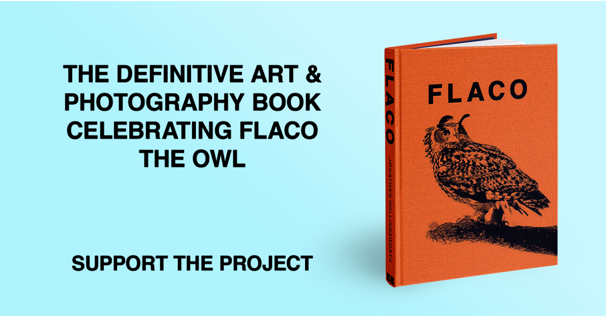 FLACO: The Definitive Art & Photography Book Celebrating Flaco the Owl
