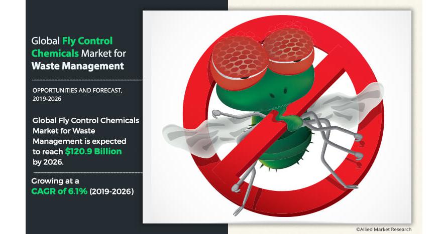 Fly Control Chemicals Market To Observe the Largest Share and Witness ...