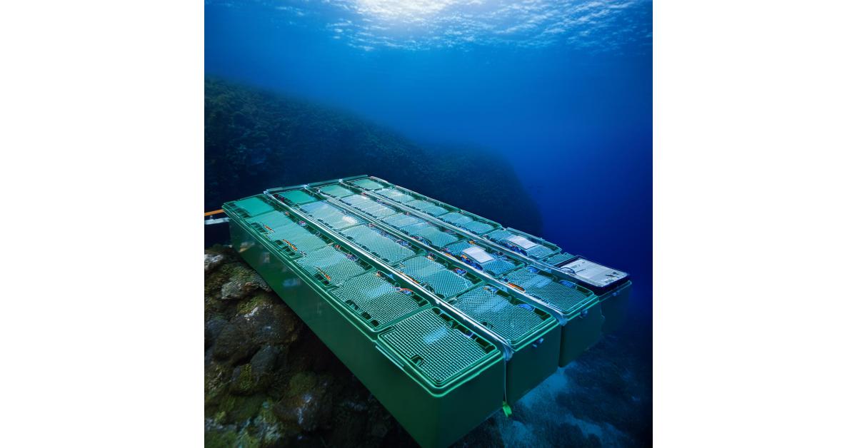 Battery Pack Market for Marine Propulsion: Trends Driving Growth from ...