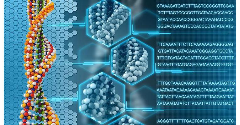 Third Generation Sequencing Market Projected To Witness Massive Growth ...