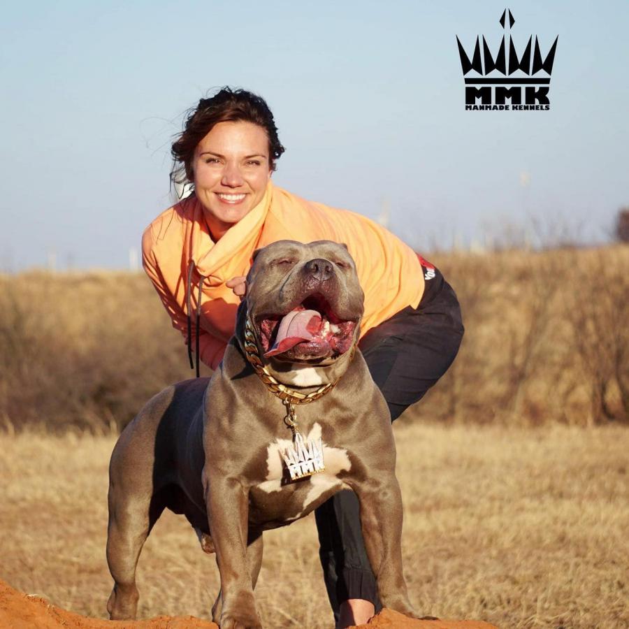 These XL Pitbull Breeders Are Changing the Negative Image of the ...