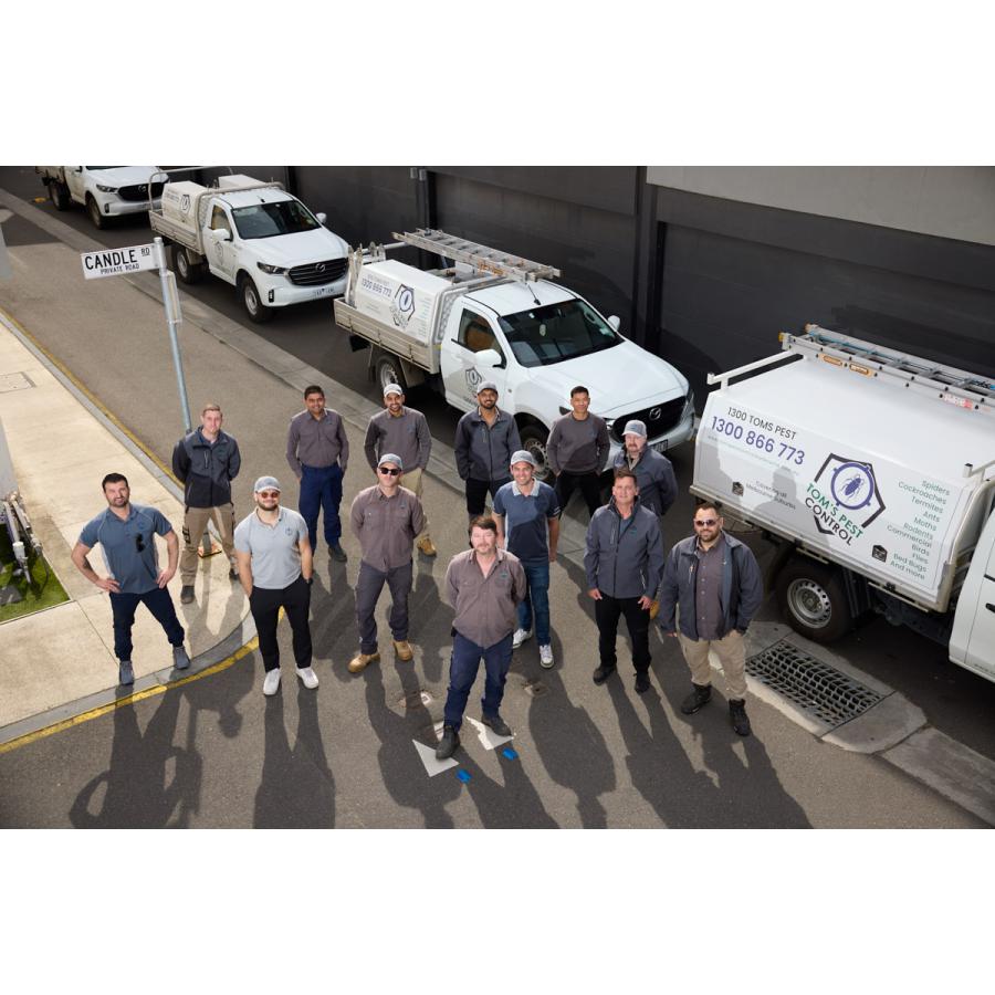 Addressing Adelaide’s Growing Pigeon Population and Associated Risks